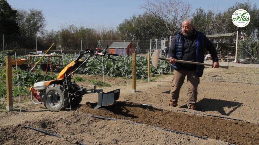 Tierra Para Plantar Patatas Cómo Sembrar Patatas En El Huerto