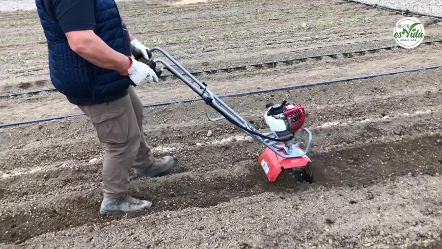 cómo cortar la tierra para sembrar patatas | Huerto esVida