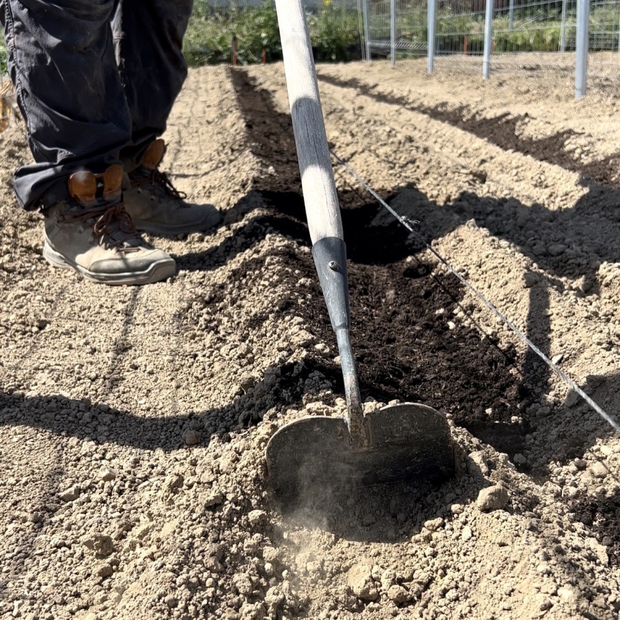 preparar y abonar la tierra para plantar tomates | Huerto esVida
