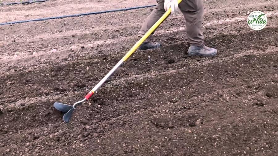 cómo cortar la tierra para sembrar patatas | Huerto esVida